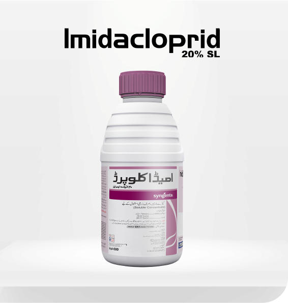 Imidacloprid 20% SL | Syngenta