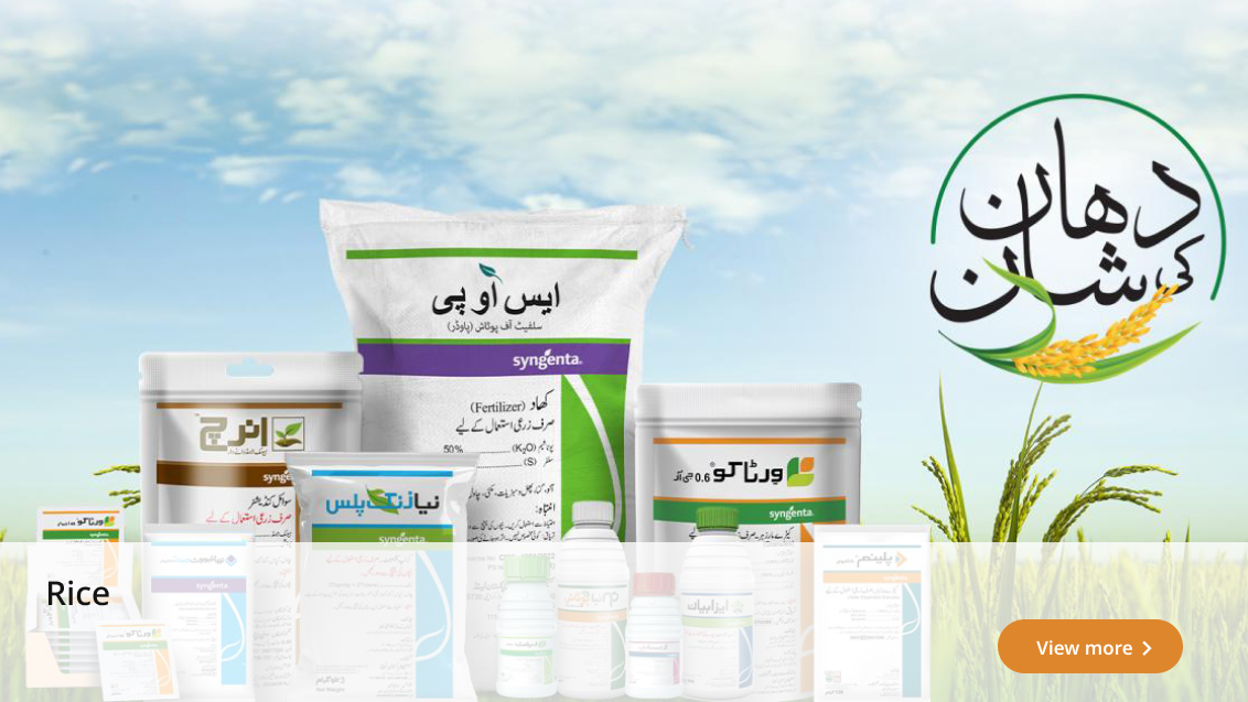 Crop Solutions | Syngenta