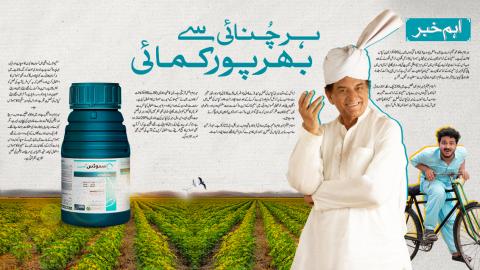 Syngenta Home | Syngenta